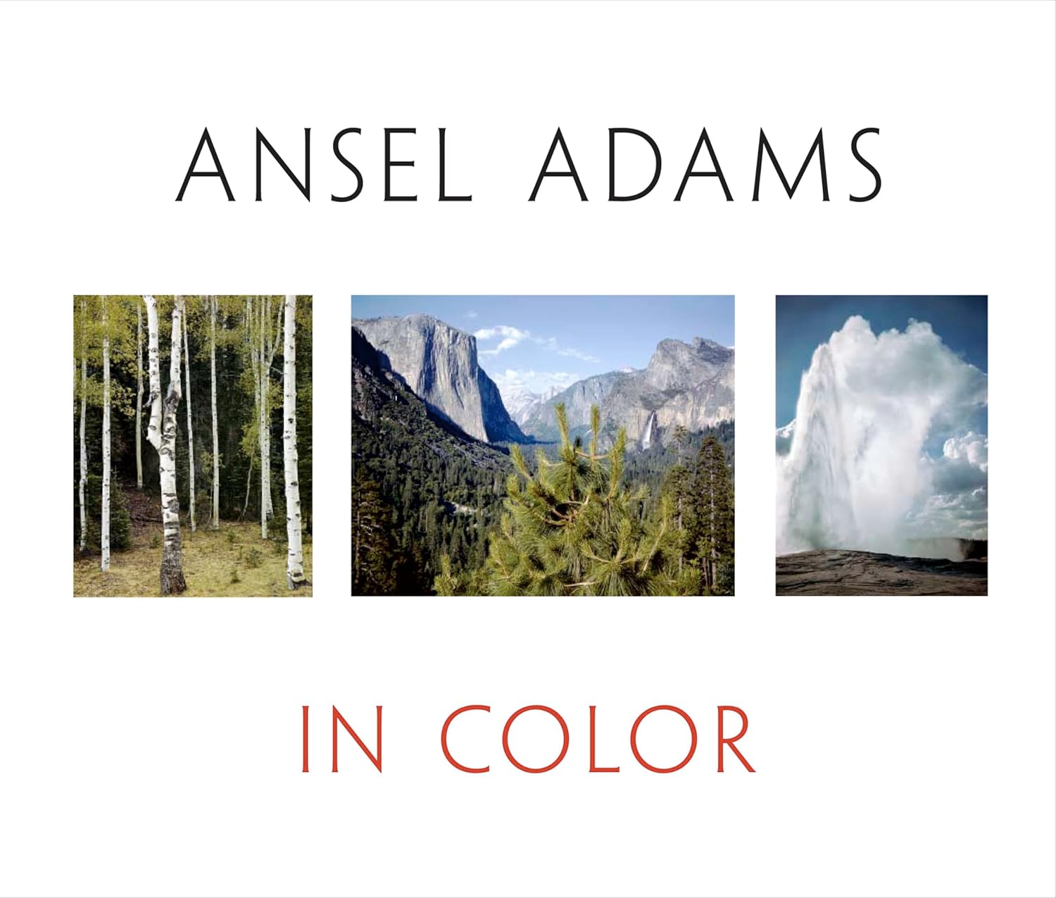 Ansel Adams in Color – Studio Argentique